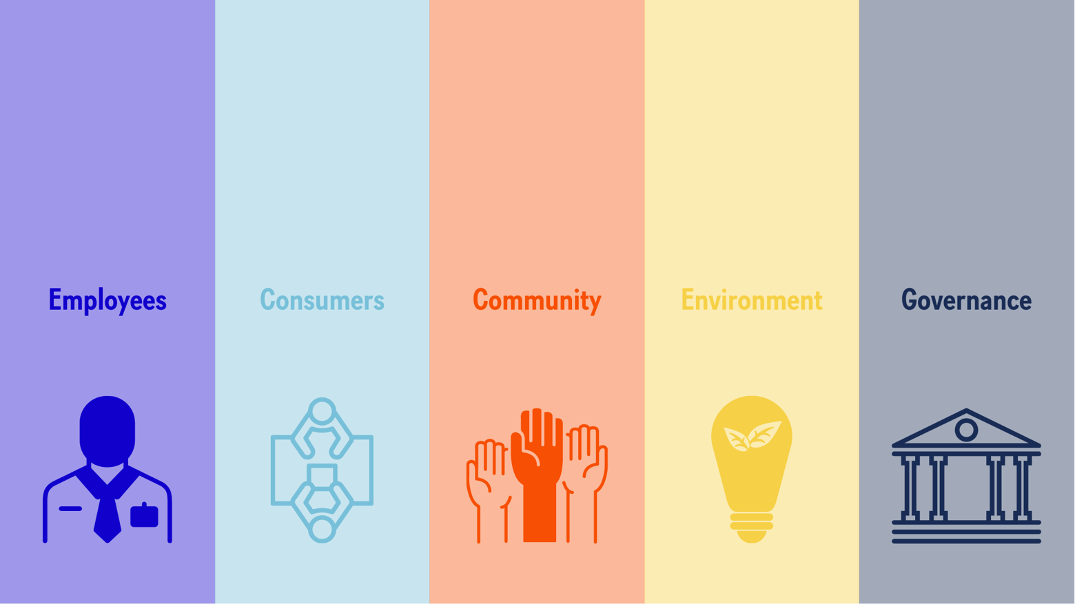 Whale Watching: Quest To Become B Corp Certified